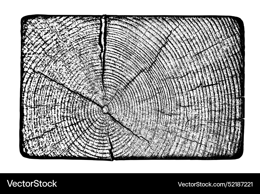 Tree texture on white background Royalty Free Vector Image