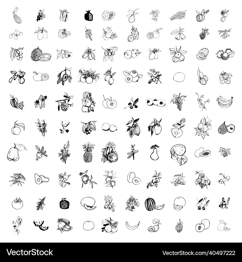 Fruits and berries in ink style Royalty Free Vector Image