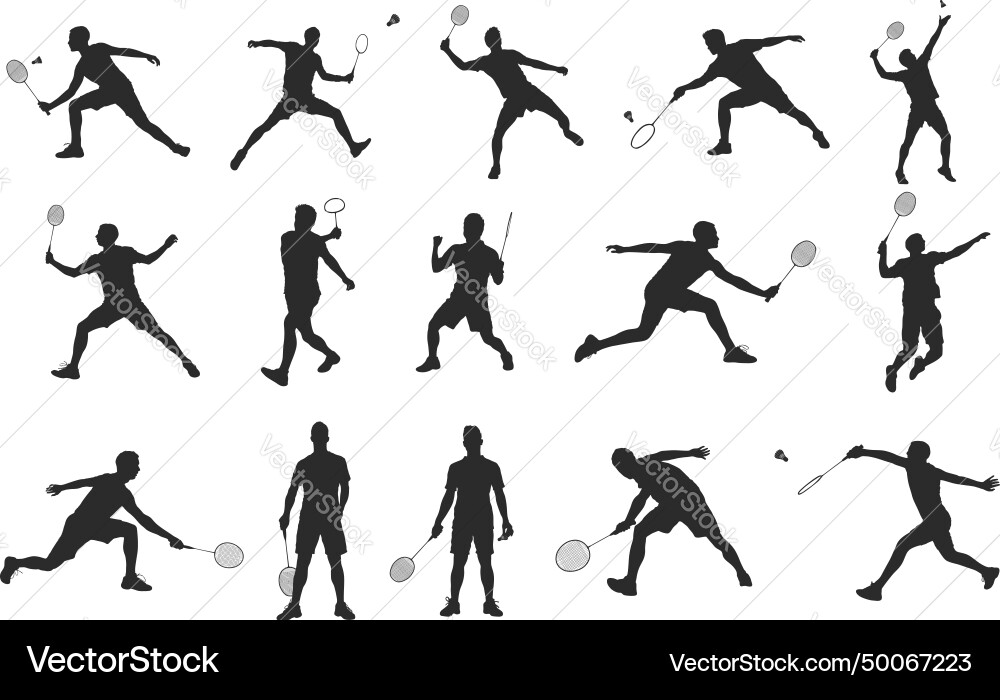 Badminton players silhouette Royalty Free Vector Image