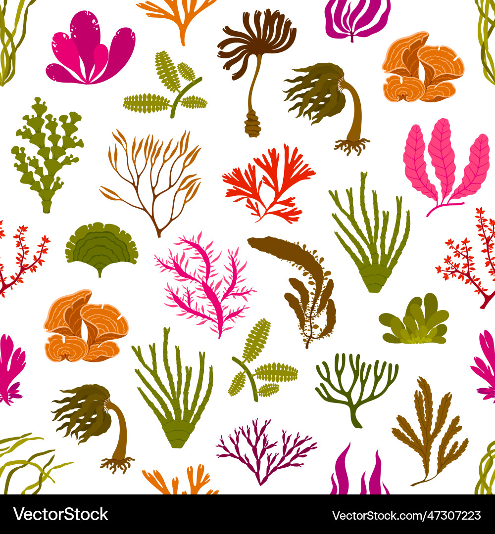 Colorful Seaweed Pattern Royalty Free Vector Image