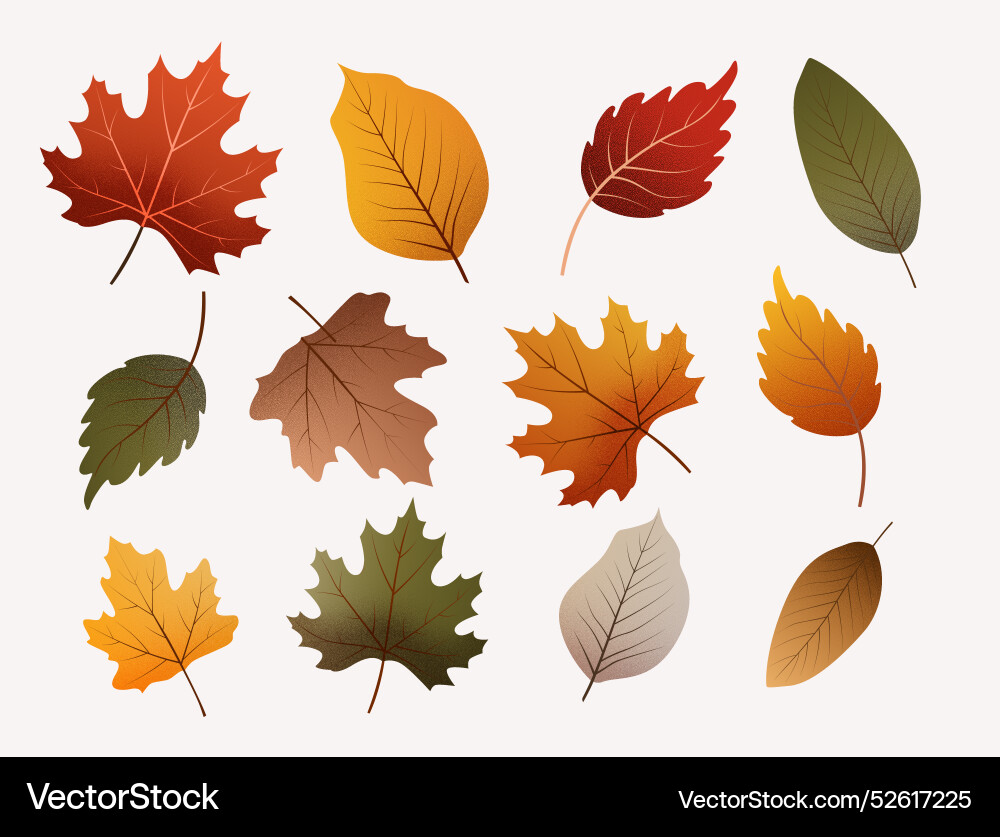 Autumn falling leaves collection set Royalty Free Vector