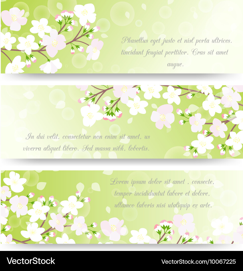 Spring banners with blossoming tree brunch Vector Image
