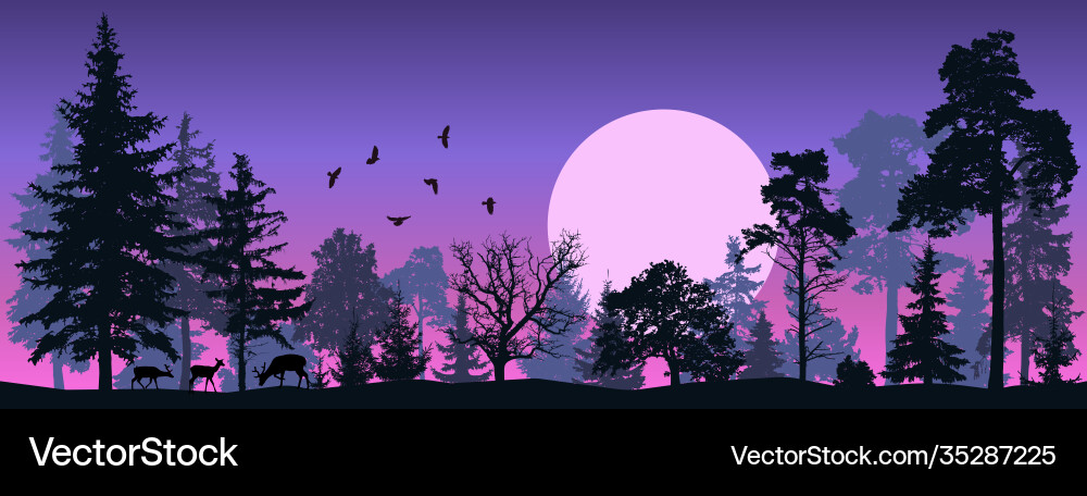 Tree forest silhouette night Royalty Free Vector Image