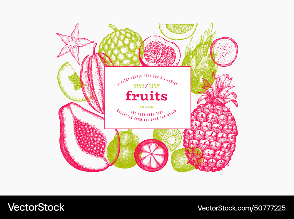 Tropical fruit design template hand drawn exotic Vector Image