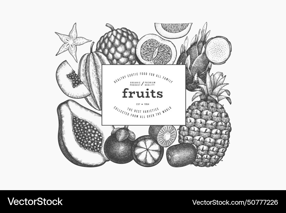 Tropical fruit design template hand drawn exotic Vector Image
