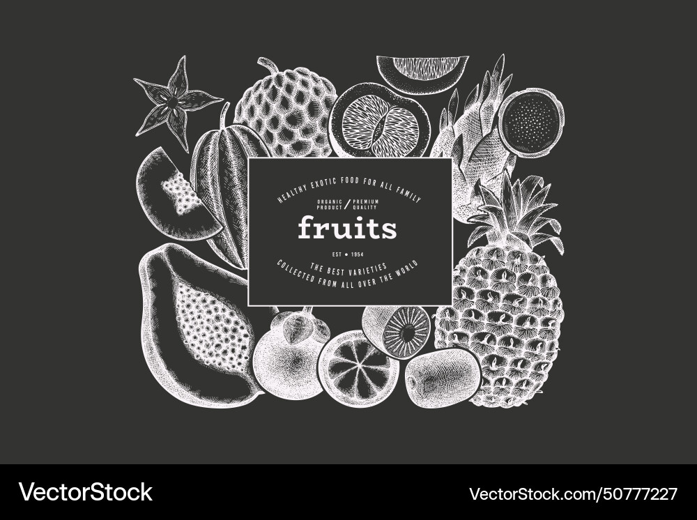 Tropical fruit design template hand drawn exotic Vector Image
