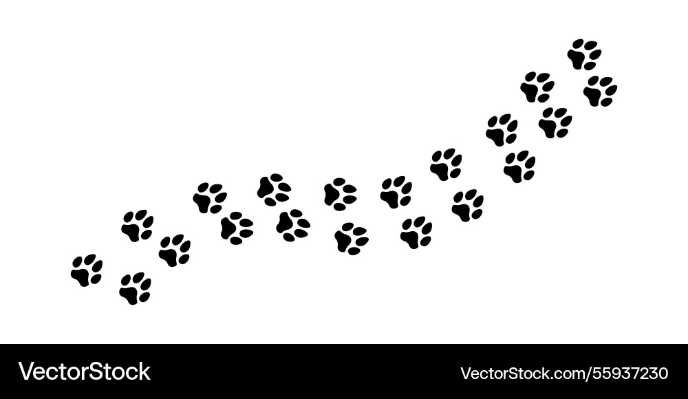 Dog and cat paw print path Royalty Free Vector Image