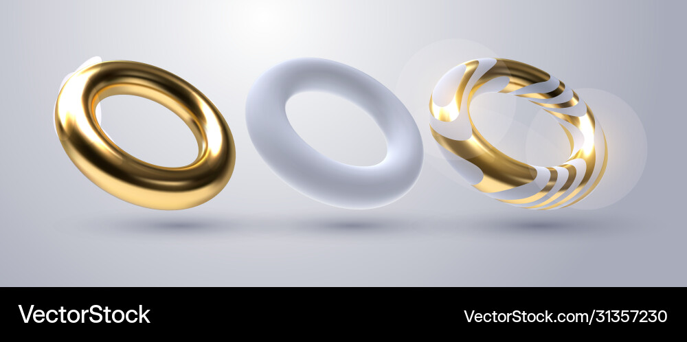 Realistic torus shapes Royalty Free Vector Image