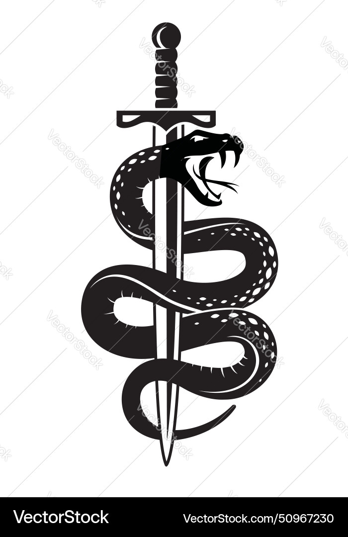 Snake and sword Royalty Free Vector Image - VectorStock