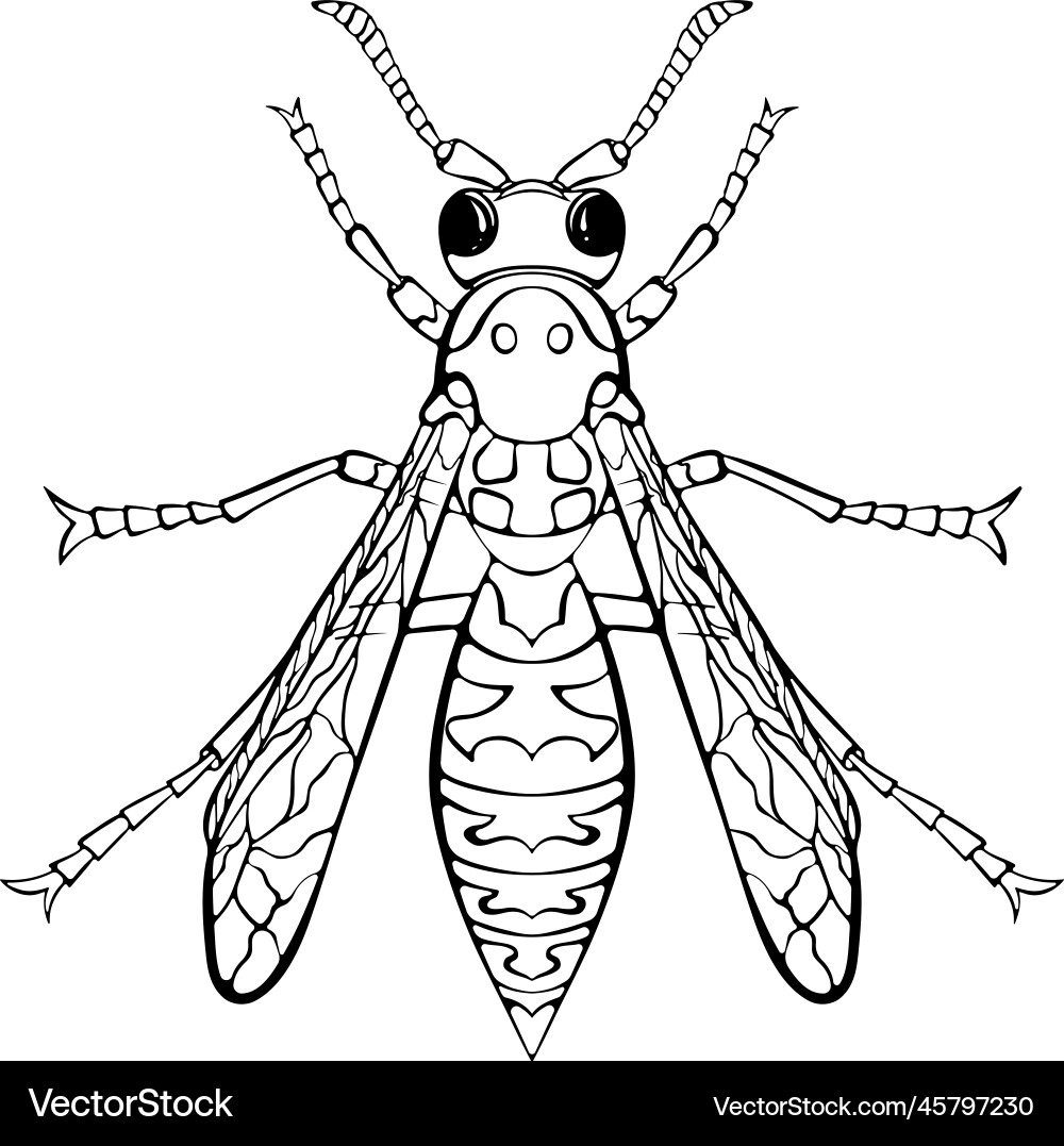 Wasp top view line art Royalty Free Vector Image
