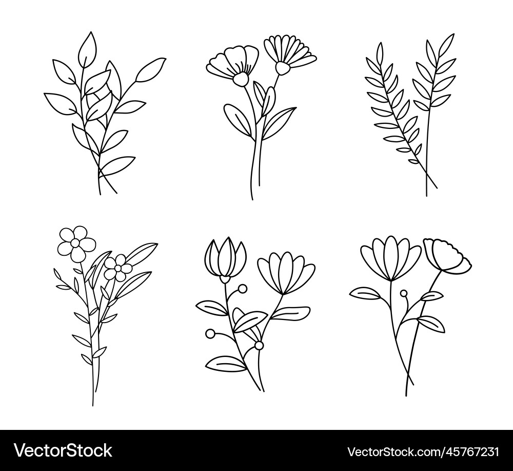 Floral branch set hand drawn with leaves Vector Image
