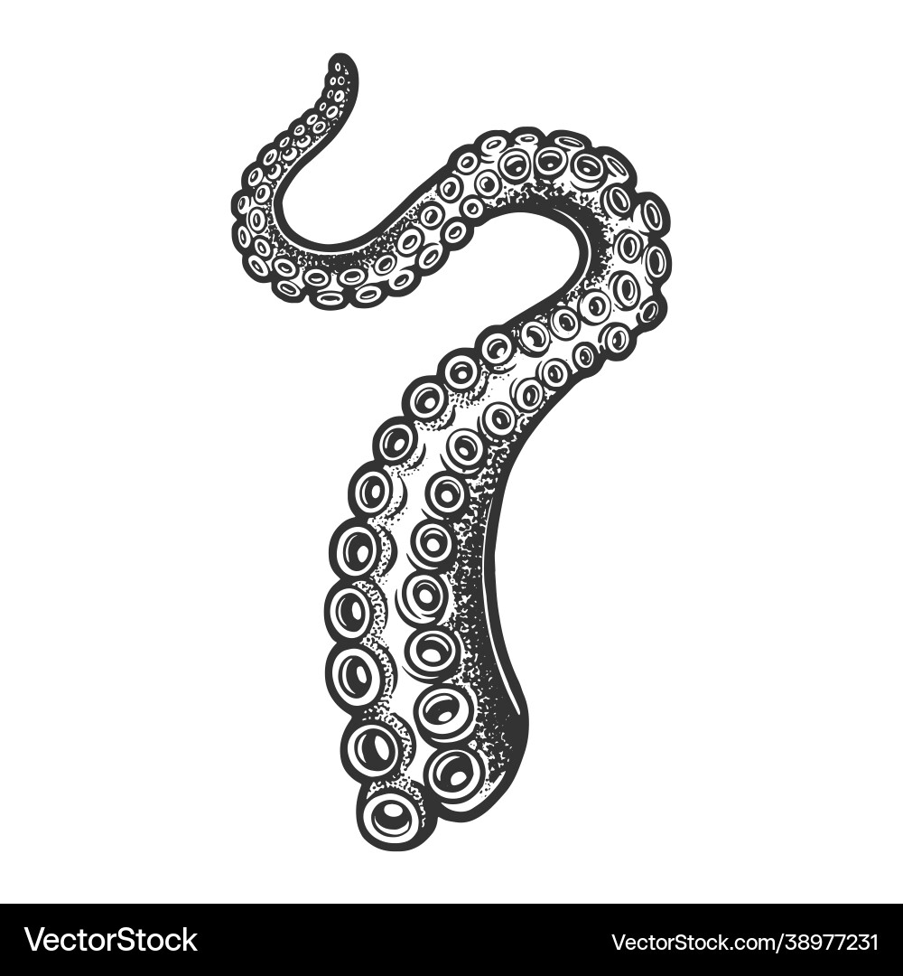 Octopus tentacle sketch Royalty Free Vector Image