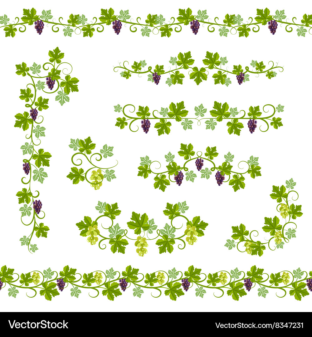 Seamless background pattern vine Royalty Free Vector Image