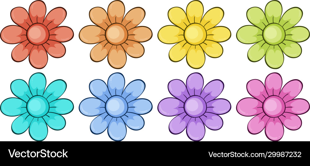 Isolated set flowers in many colors Royalty Free Vector