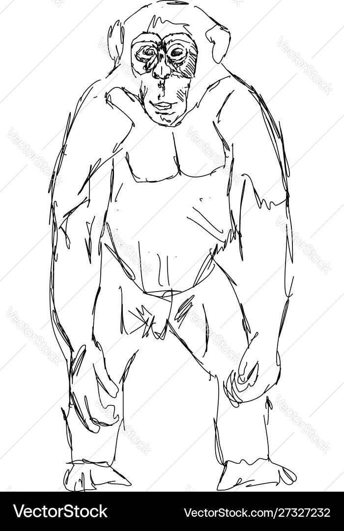 Monkey drawing on white background Royalty Free Vector Image