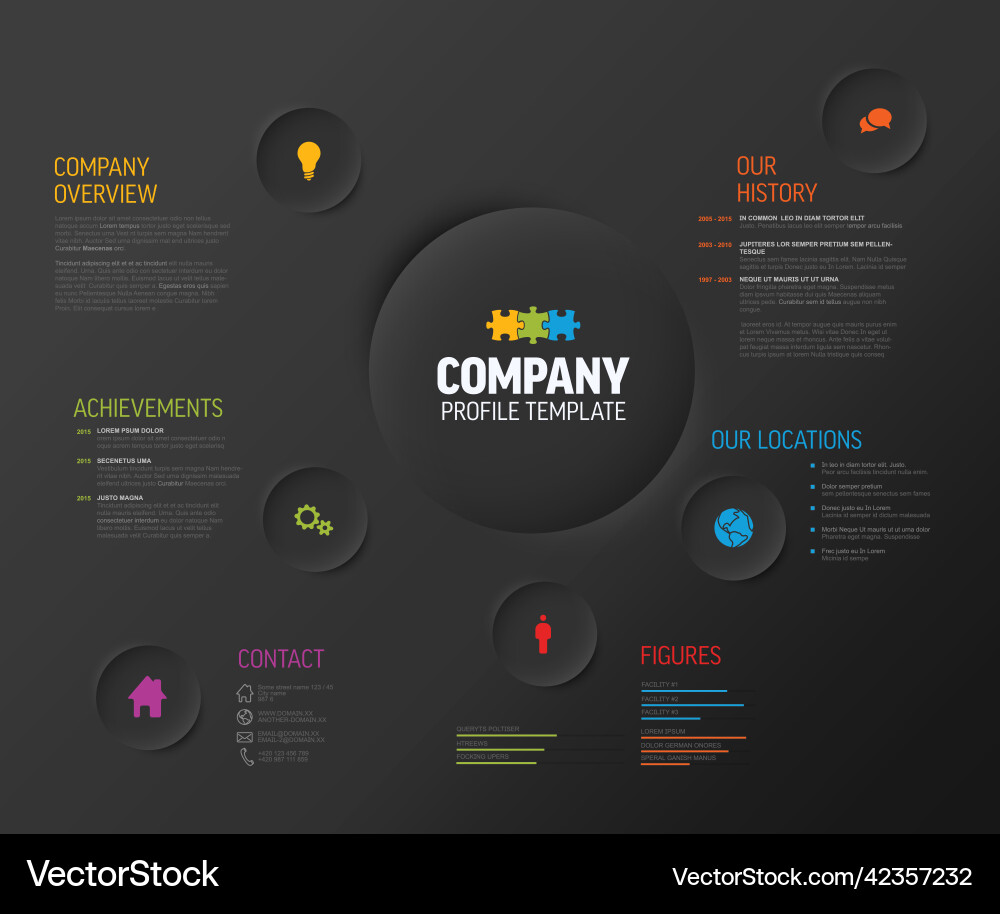 Simple dark company infographic profile overview Vector Image