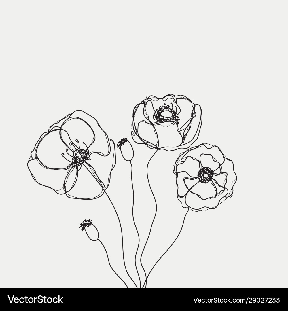 Abstract outline flowers on white Royalty Free Vector Image