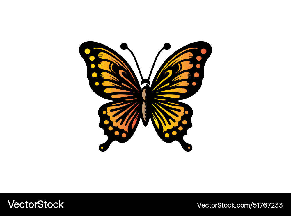 Butterfly isolated on a white Royalty Free Vector Image