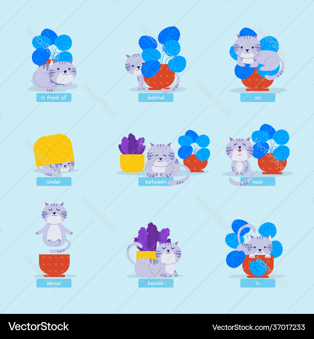 English prepositions cat for kids learning Vector Image