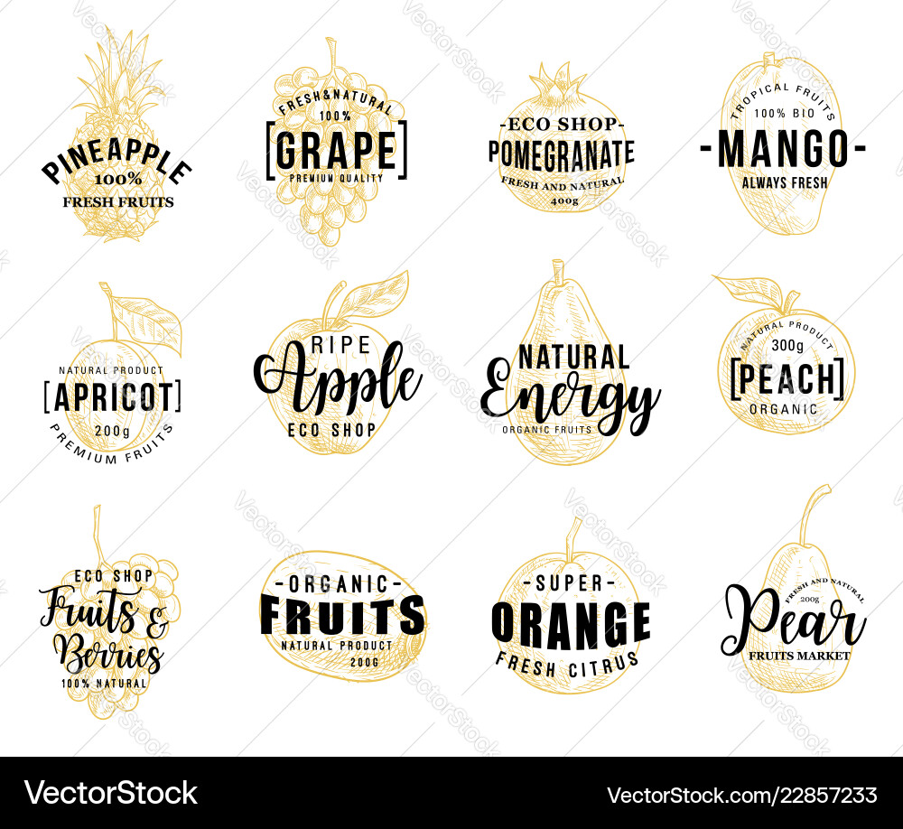 Fruits and berry lettering icons Royalty Free Vector Image