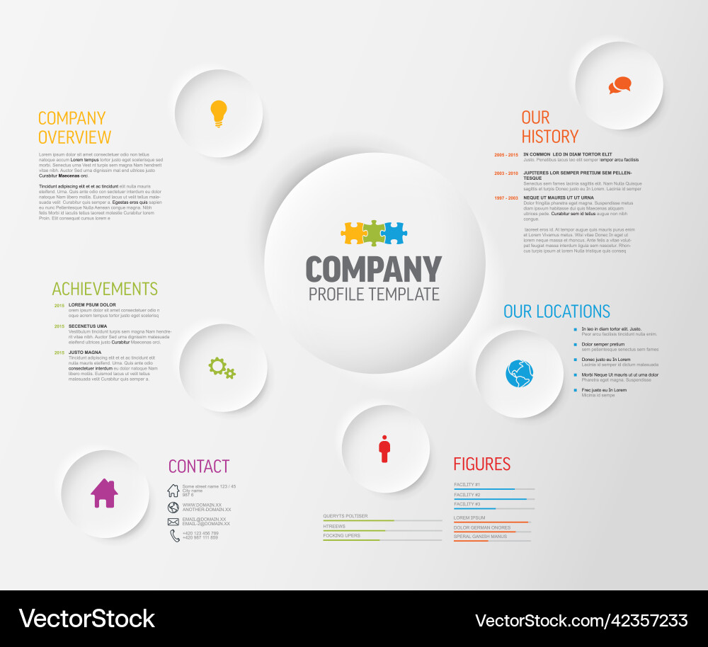 Simple company infographic profile overview Vector Image