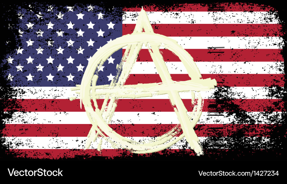 Anarchy USA Flag Royalty Free Vector Image - VectorStock