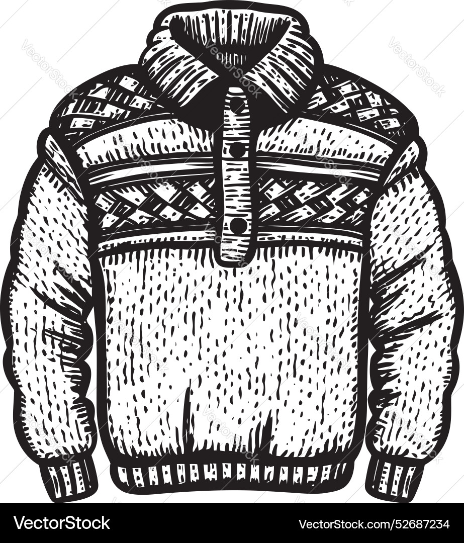 Classic elegance sweater adorned with black Vector Image