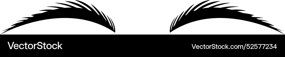 Eyebrows Royalty Free Vector Image - VectorStock