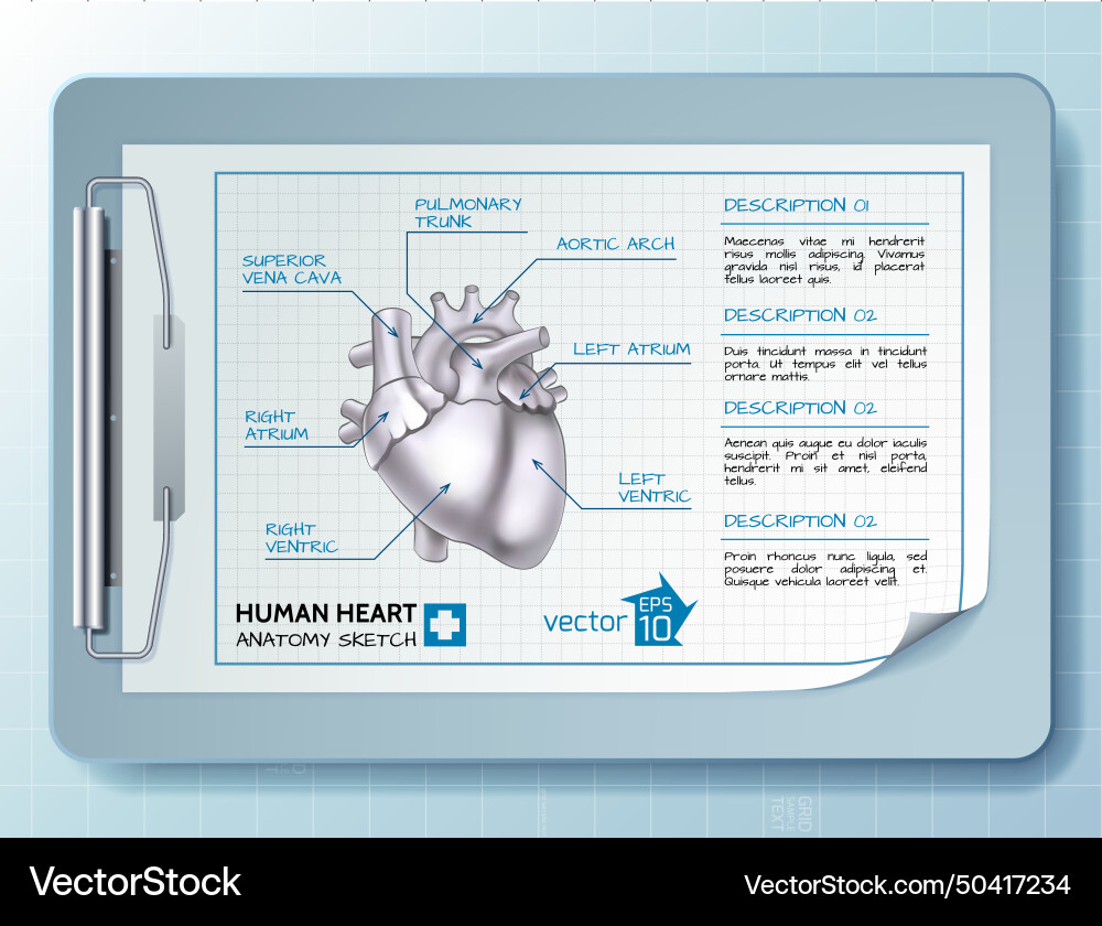 Medical science template Royalty Free Vector Image