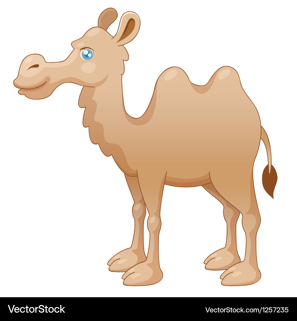 Camel Royalty Free Vector Image - VectorStock