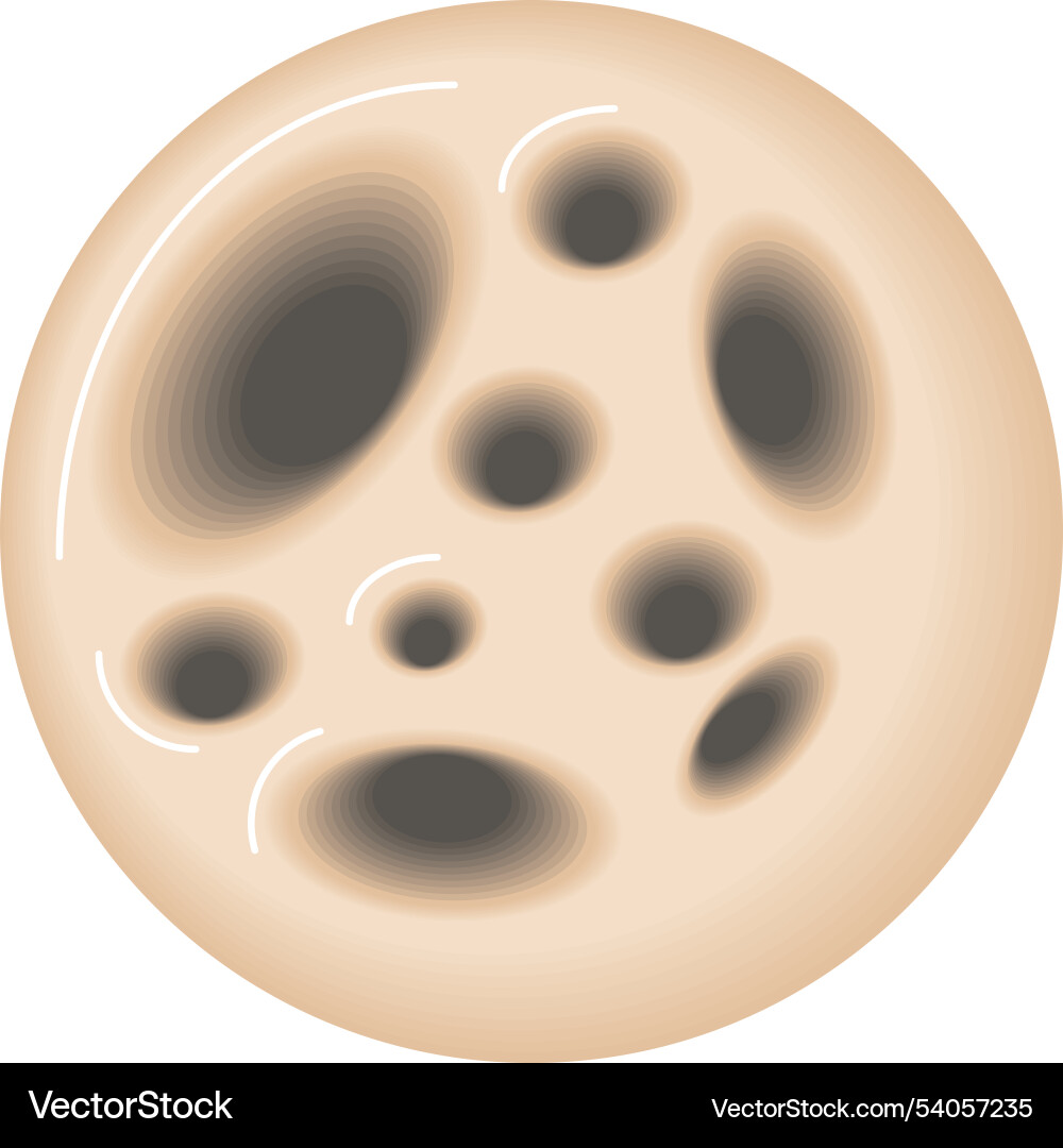 Space moon surface Royalty Free Vector Image - VectorStock