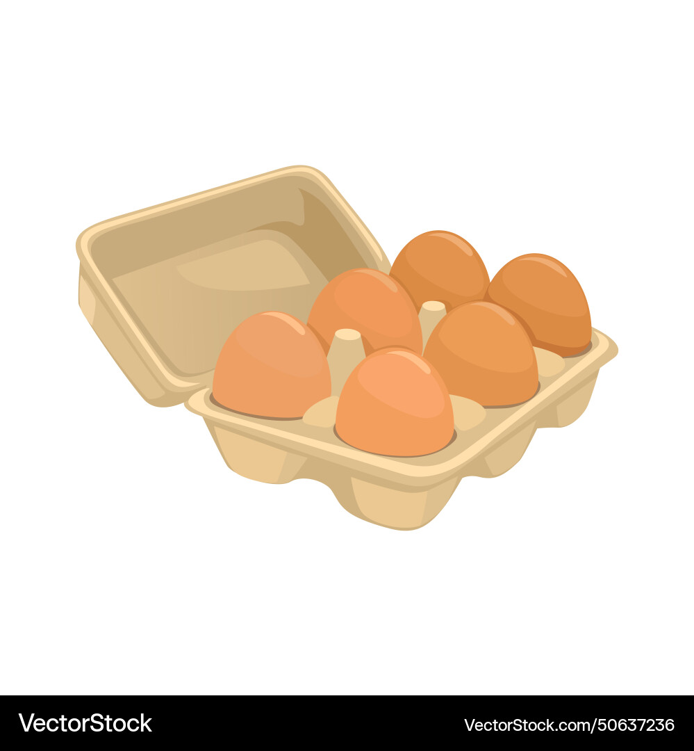 Egg in carton box Royalty Free Vector Image - VectorStock