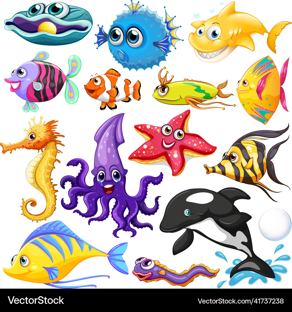 Different Sea Animals