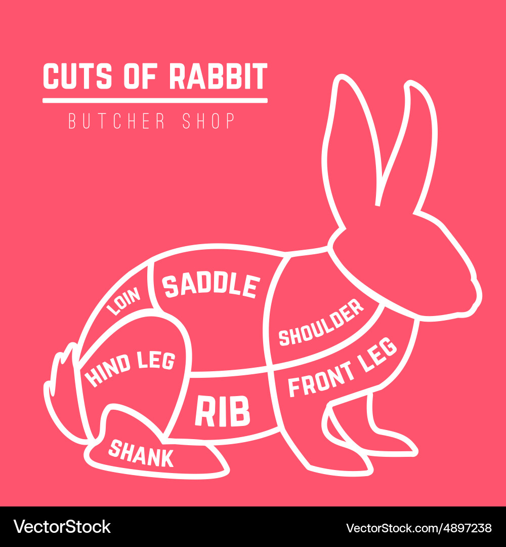 Rabbit Meat Cuts Diagram Royalty Free Vector Image