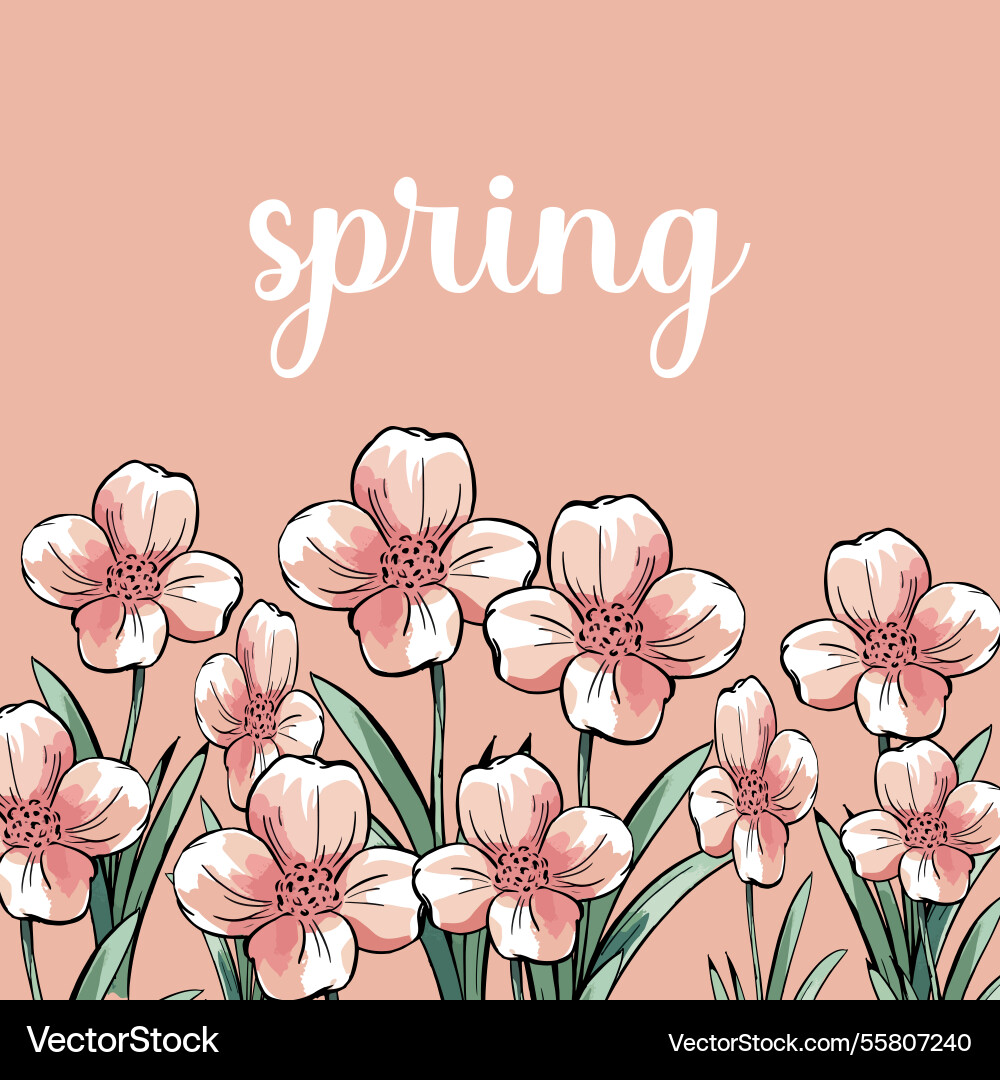 Spring floral pastel pink flowers with cursive Vector Image