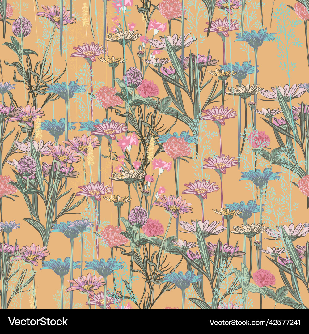 Floral seamless pattern with wild daisy flowers Vector Image