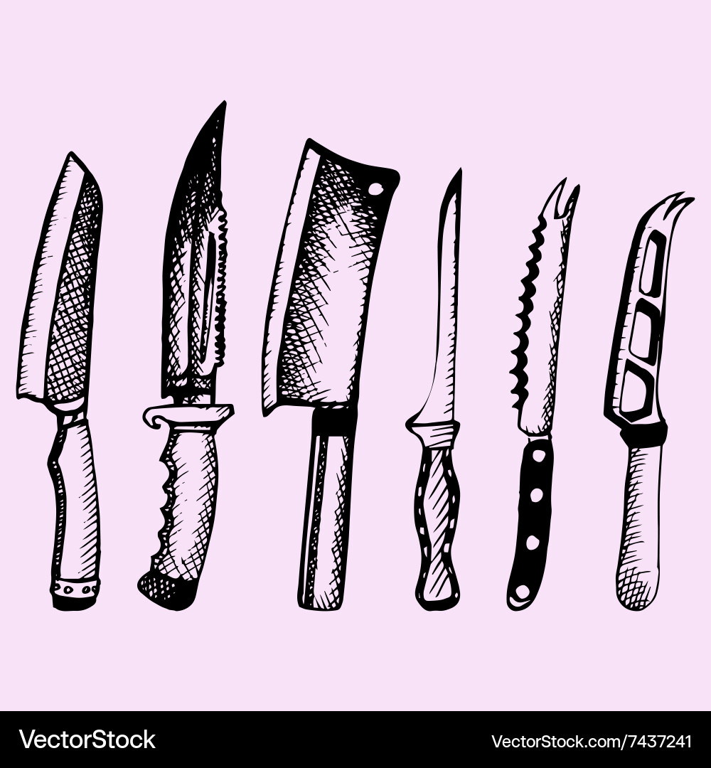 Kitchen knives Royalty Free Vector Image - VectorStock