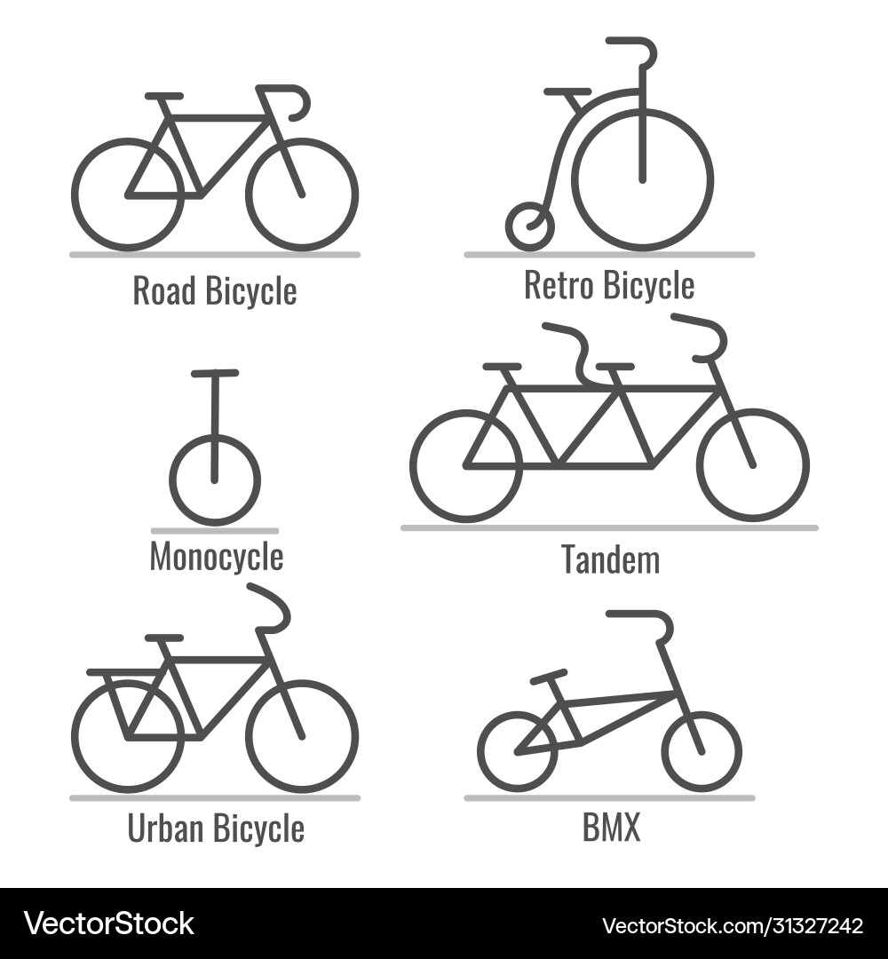 Bicycle types collection Royalty Free Vector Image