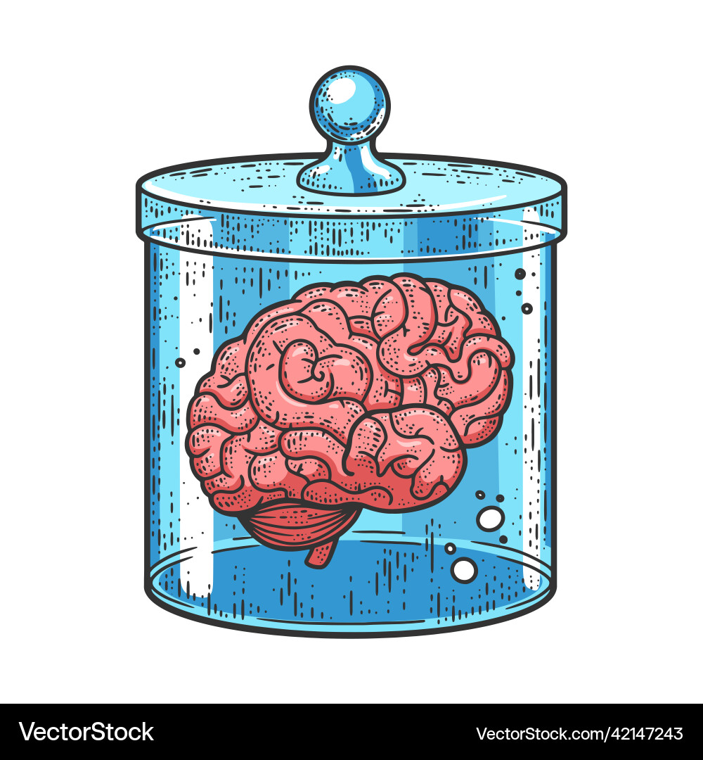 Human brain jar color sketch Royalty Free Vector Image