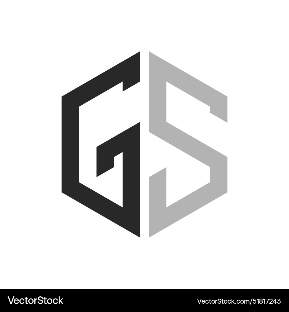 Modern unique hexagon letter gs logo design Vector Image