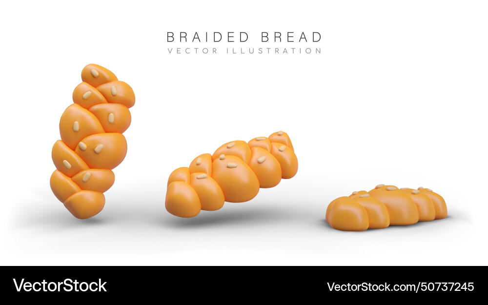 Realistic braided bread in different positions Vector Image