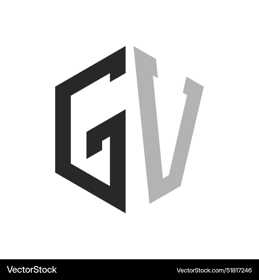 Modern unique hexagon letter gv logo design Vector Image