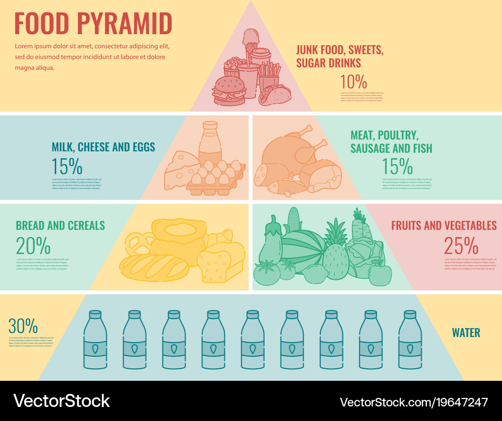 Lebensmittel-Pyramide Gesund essen Infografik Vektorbild