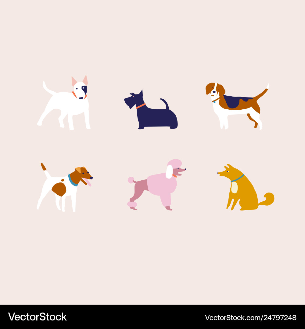 Breed dogs Royalty Free Vector Image - VectorStock