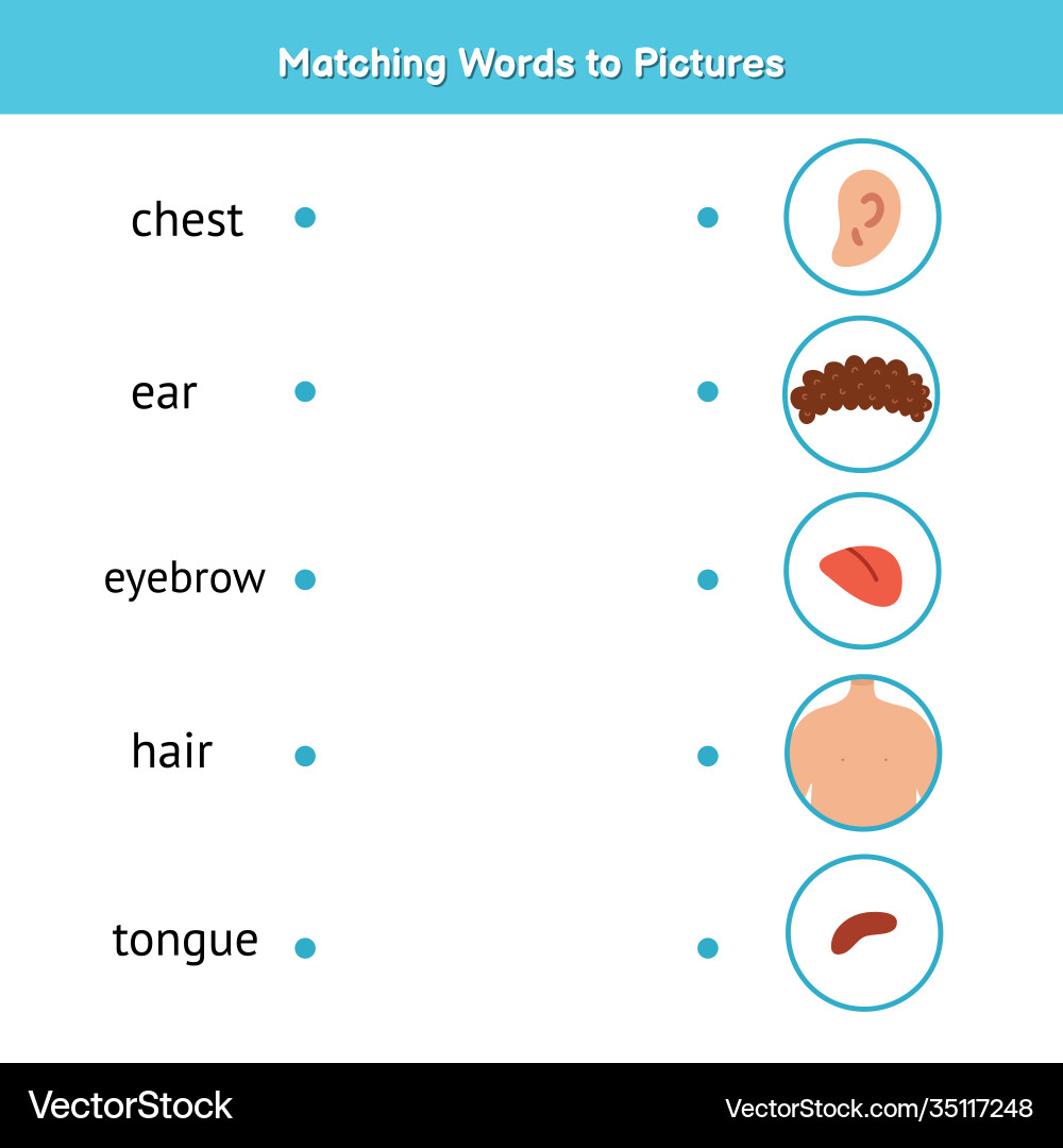 Match words to pictures learn read Royalty Free Vector Image
