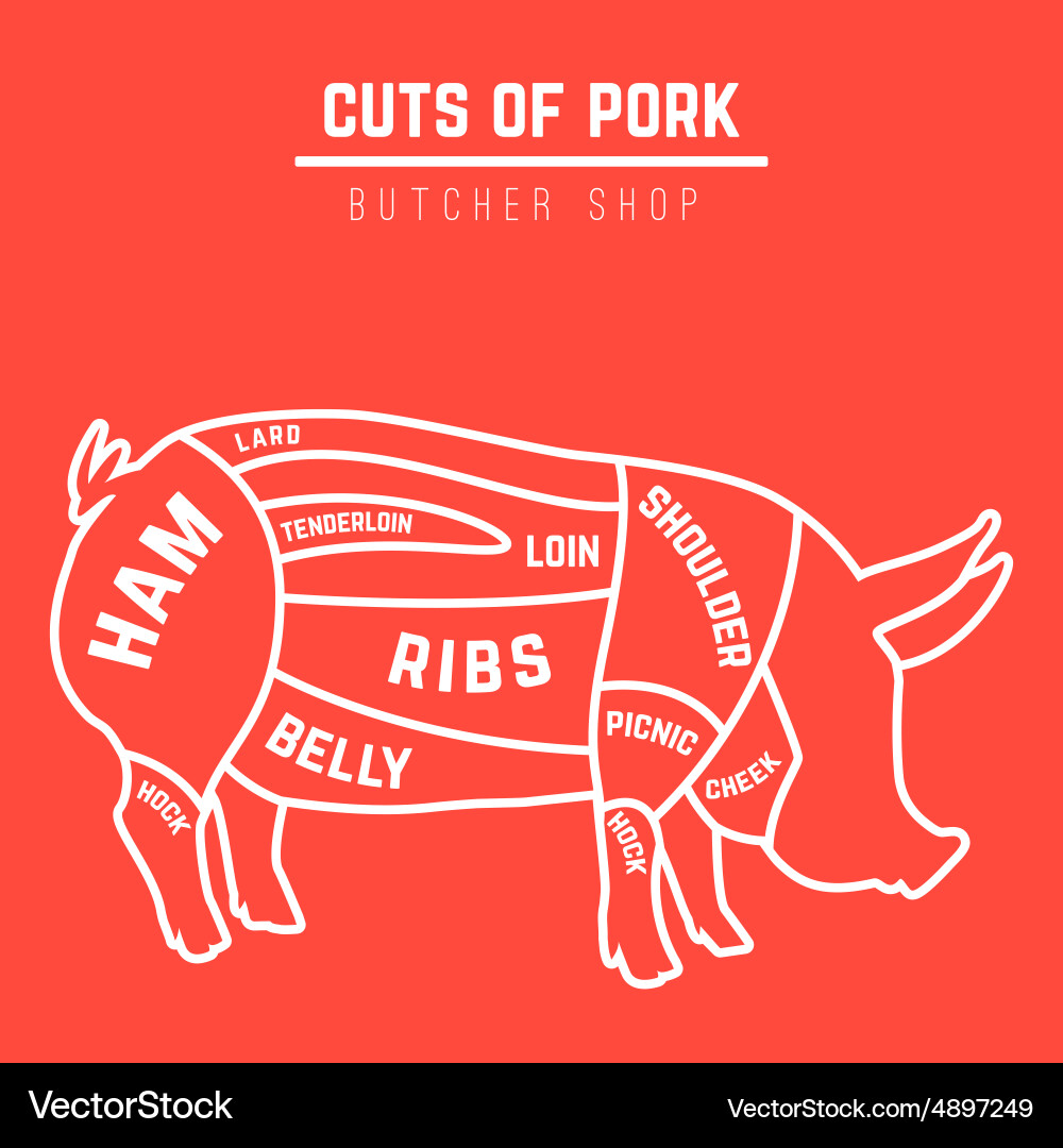 Cuts of pork Royalty Free Vector Image - VectorStock