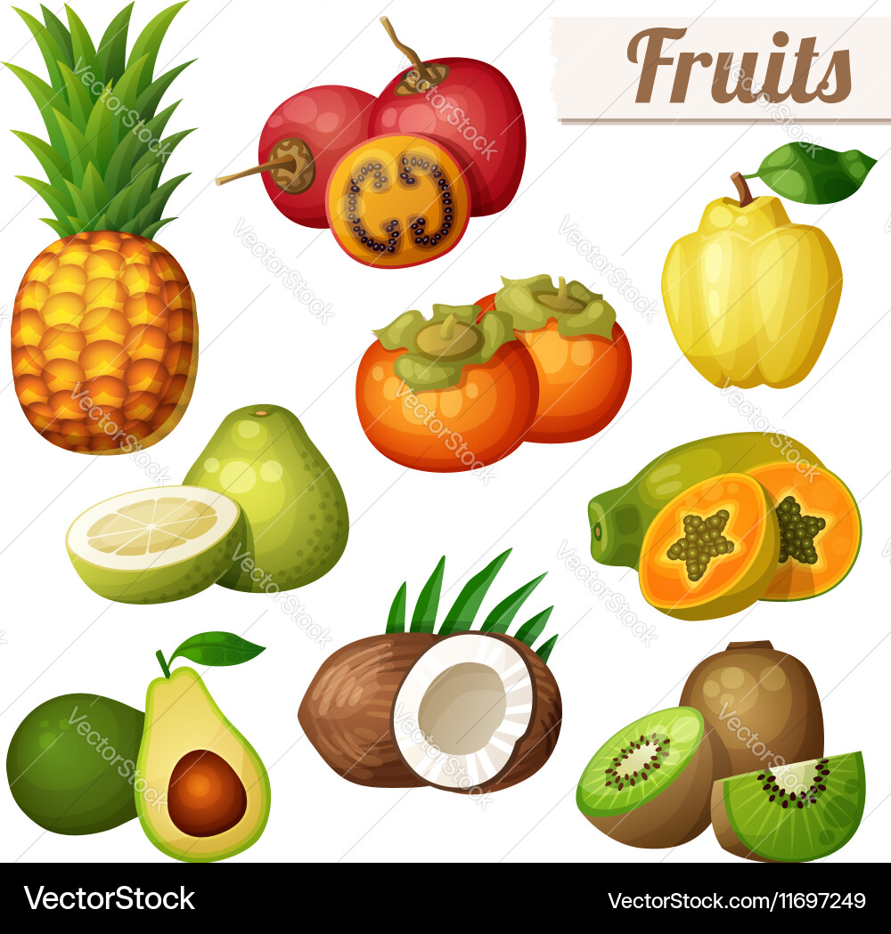 Tropical Fruit Icons Royalty Free Vector Image