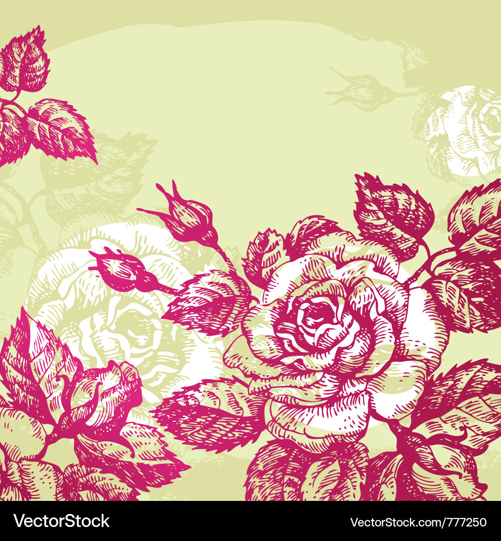 Floral background with roses Royalty Free Vector Image