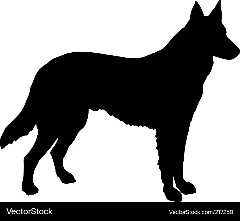 German shepherd dog Royalty Free Vector Image - VectorStock