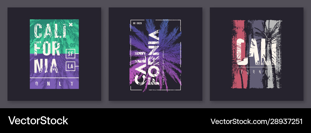 Collection three graphic t-shirt designs Vector Image